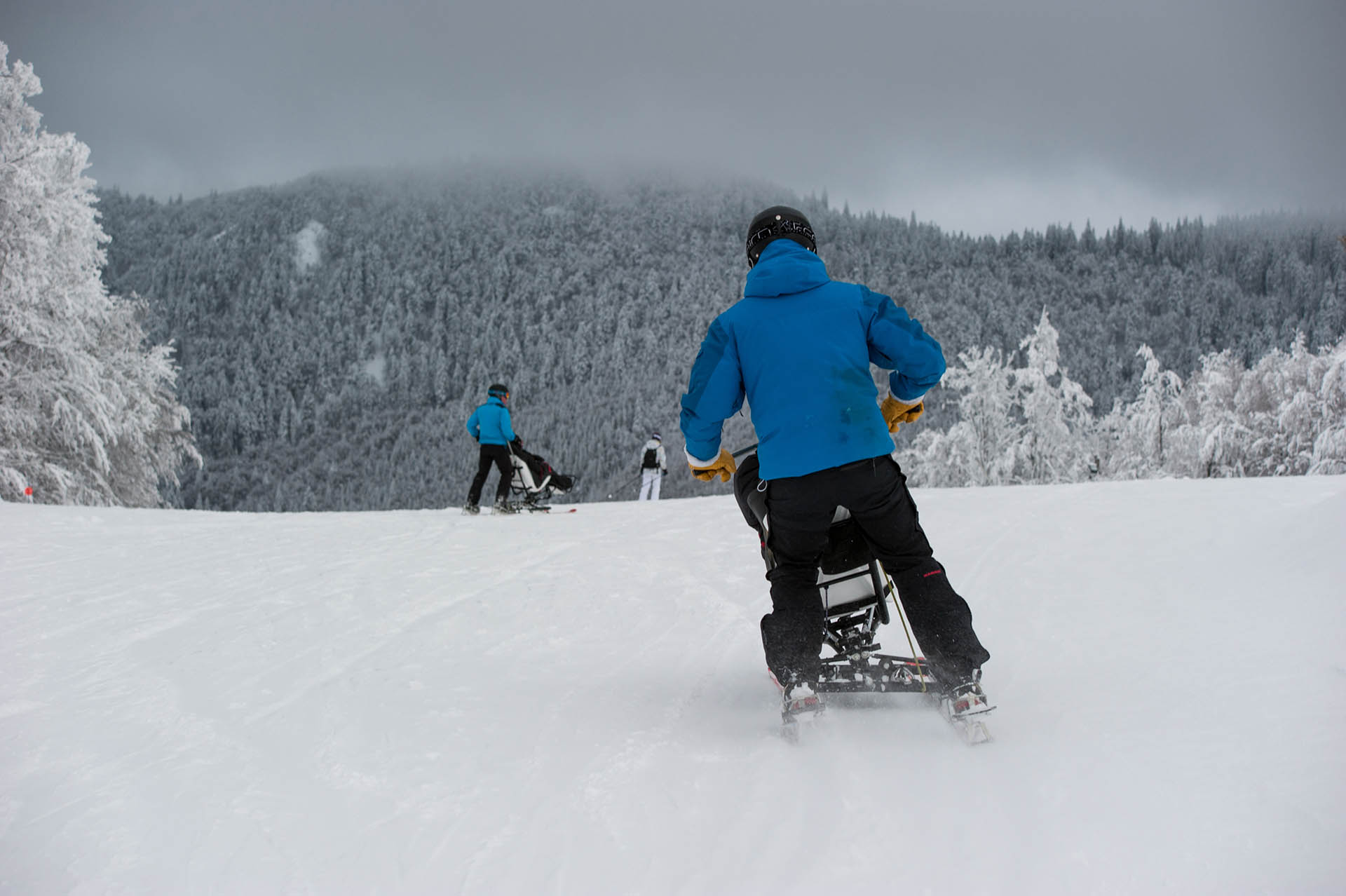 Ski en tandem flex | Refuge du Sotré - Massif des Vosges - Alsace ...
